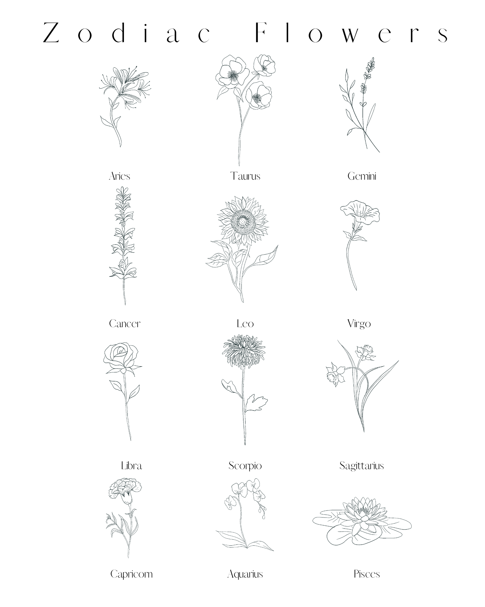 Flowers For The Zodiac Signs Horoscopeaz flowers-for-the-zodiac-signs-horoscopeaz